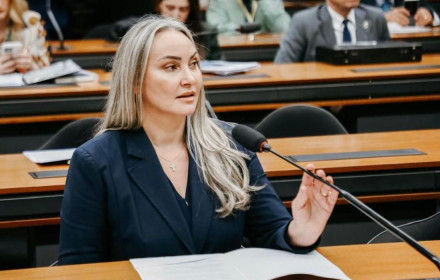 Deputada Daniela Reinehr protocola projeto que cria o Dia Nacional em ...
